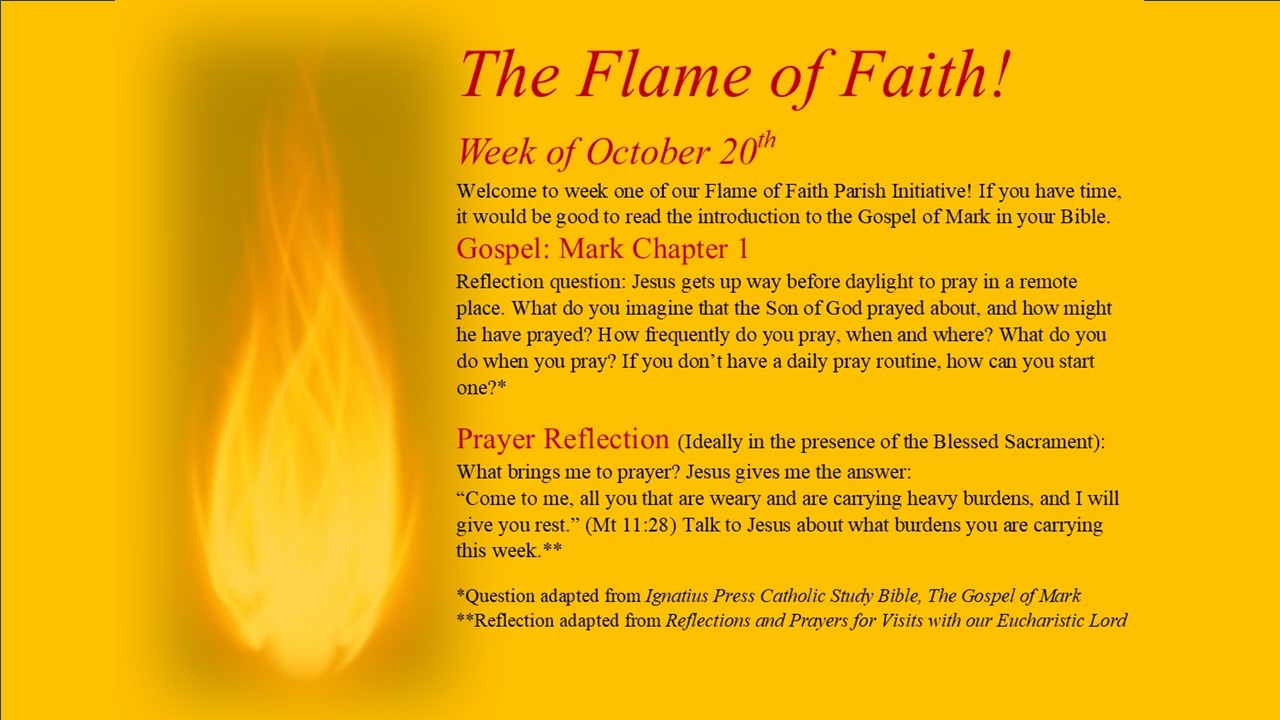 Nativity of Our Lord Catholic Parish