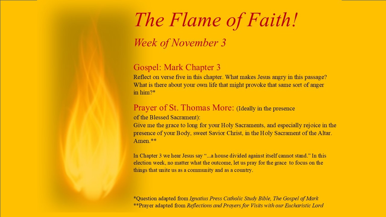 Nativity of Our Lord Catholic Parish